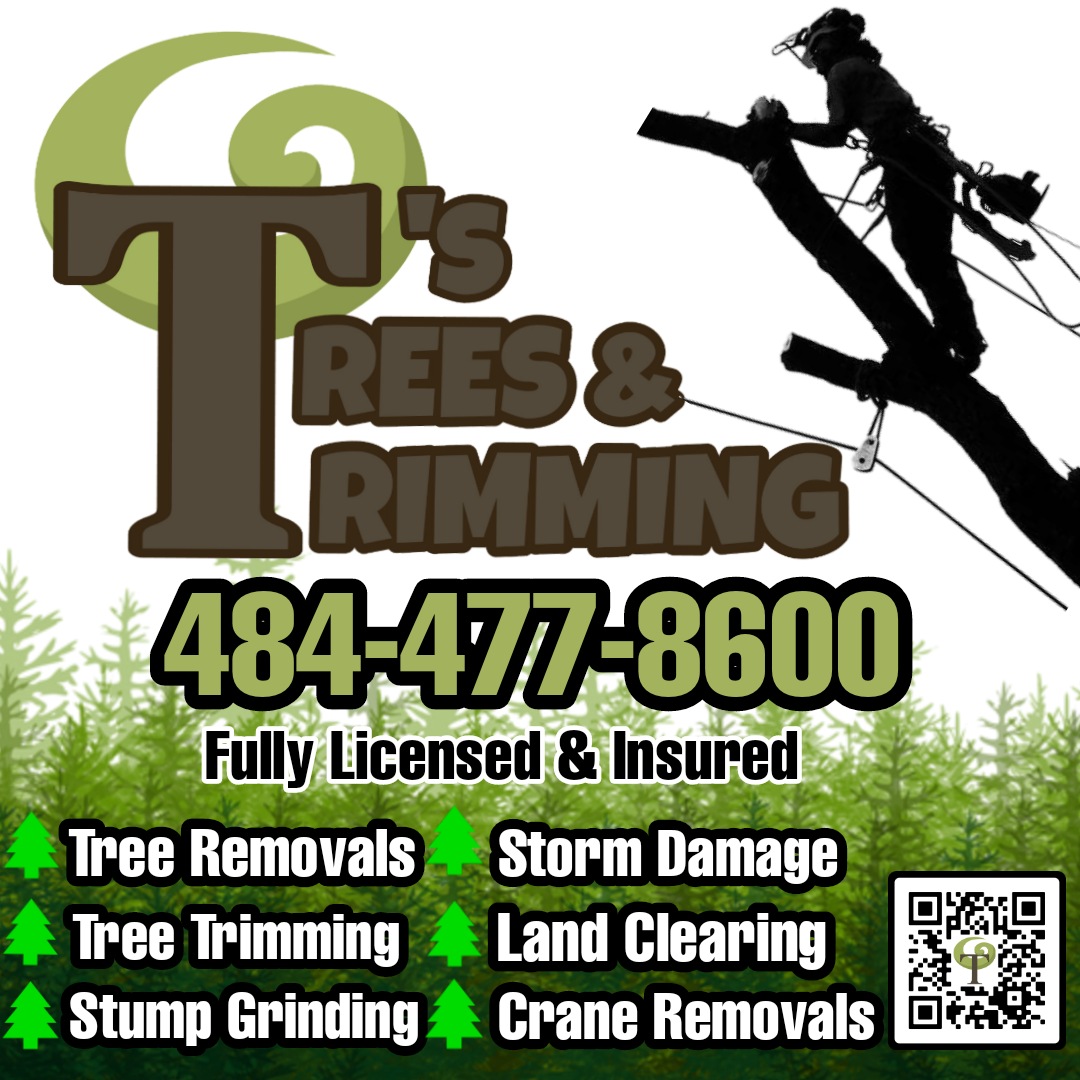 T's Trees & Trimming - Berks-Mont Business Association